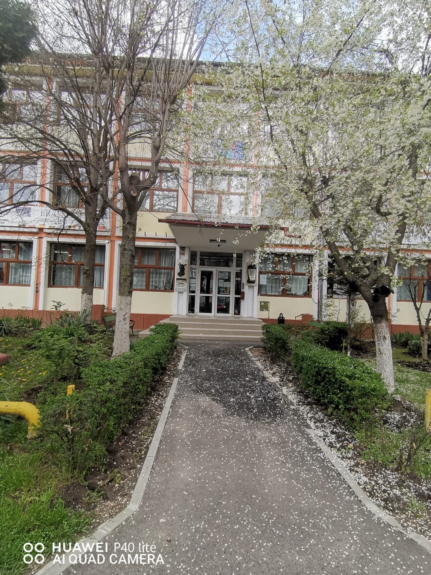 Despre noi :: SCOALA_GIMNAZIALĂ_MIRCEA_CEL_BĂTRÂN